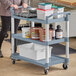Gray Utility Cart with Wheels - Sold at WebstaurantStore