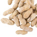 Bulk Peanuts In-Shell (Salted): 25 lbs. for Only $28.99