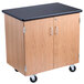 National Public Seating MSC2436 24" x 36" Mobile Science Storage Cabinet