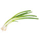 Iceless Scallions 2 lb. - 4/Case