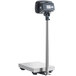 AvaWeigh BS150T 150 lb. Digital Receiving Bench Scale with Tower Display
