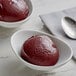 Tropical Acai Premium Acai Sorbet - 22 lb.