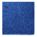 FloorEXP 6' x 25' Cobalt Event Carpet Runner