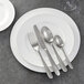 Sola the Netherlands Siena Satin 4 3/8" 18/10 Stainless Steel Extra ...
