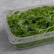 Fresh Dill 8 oz.