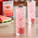 Lotus Plant Power Skinny Sugar-Free Red Lotus 5:1 Energy Concentrate 64 ...
