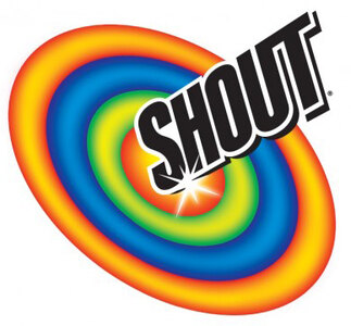 Shout® Cleaning Products in Bulk at WebstaurantStore