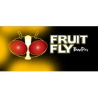 Fruit Fly BarPro Fly Strips | WebstaurantStore
