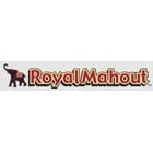 Royal Mahout Dairy Foods in Bulk at WebstaurantStore