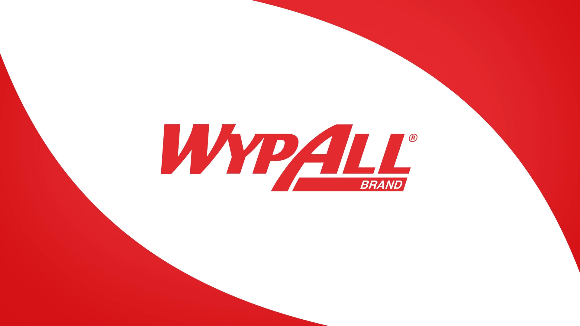 Commercial Paper Towels: Rolls and Sheets in Bulk