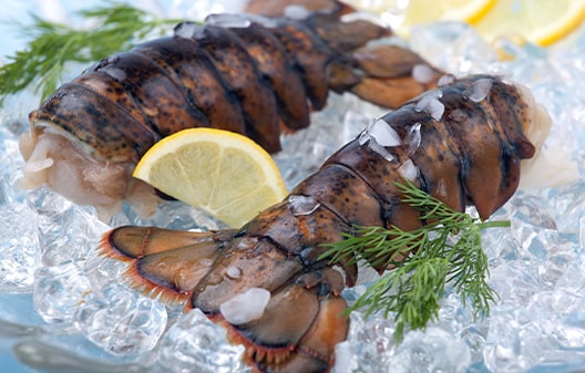 Wholesale Lobster - WebstaurantStore