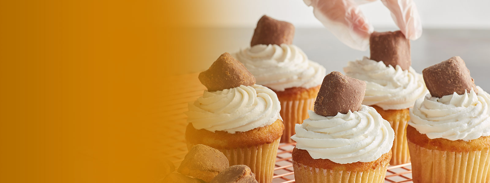 Baking Toppings & Mix In's: For Cakes, Desserts, & More