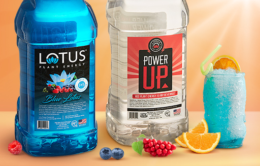 Lotus Plant Energy Beverages in Bulk at WebstaurantStore